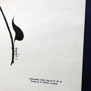 Dancing Nymph Standing on Flower DEVINE YOUTH by K. Wilhelm Diefenbach ...