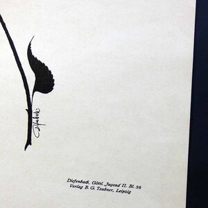 Dancing Nymph Standing on Flower DEVINE YOUTH by K. Wilhelm Diefenbach ...