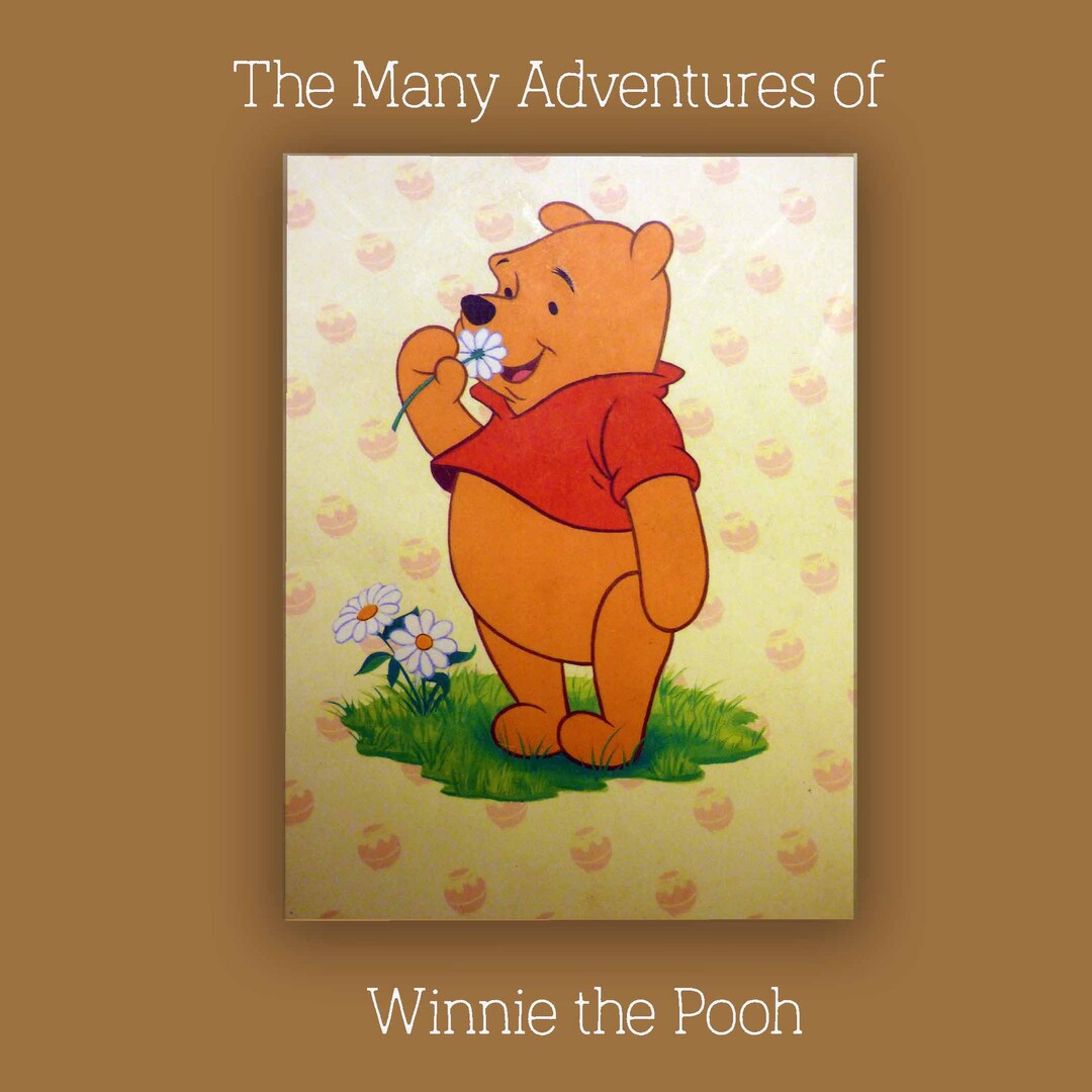 The Many Adventures of Winnie the Pooh A Classic Disney Treasury by ...