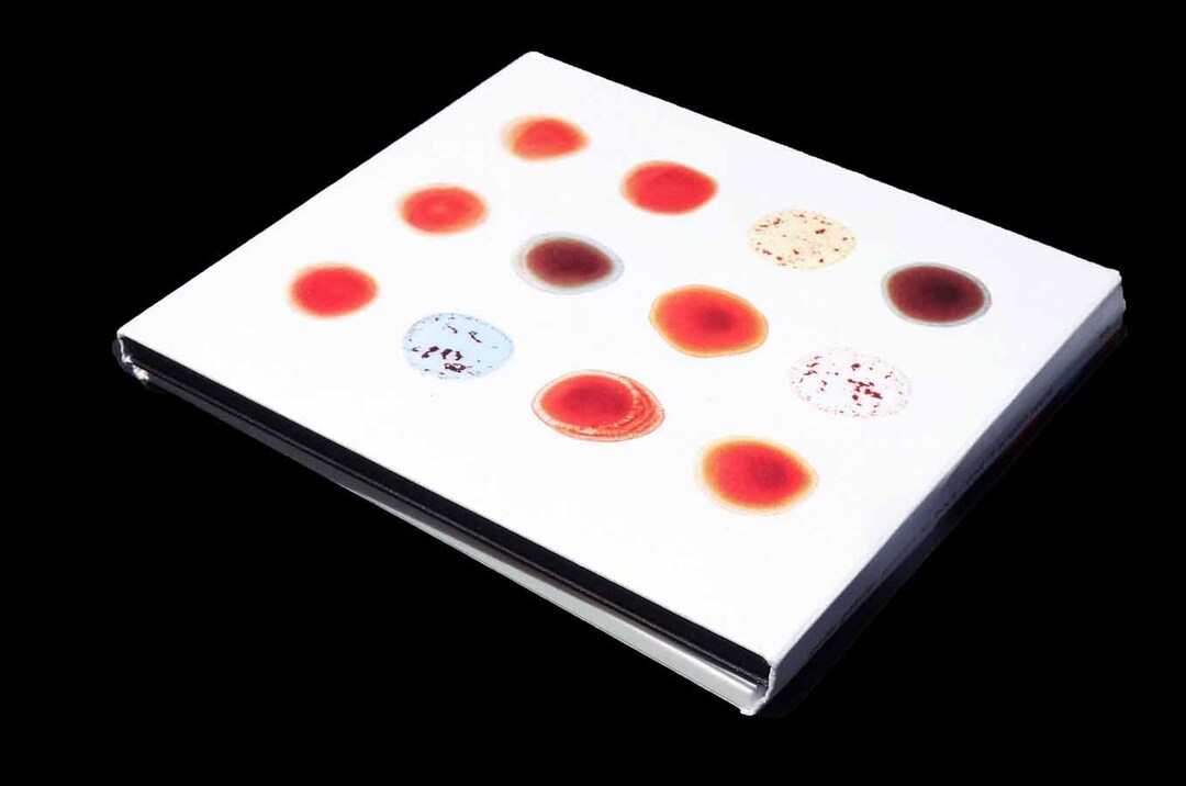 Peter Gabriel - Scratch My Back/and I'll Scratch Yours - Double CD ...