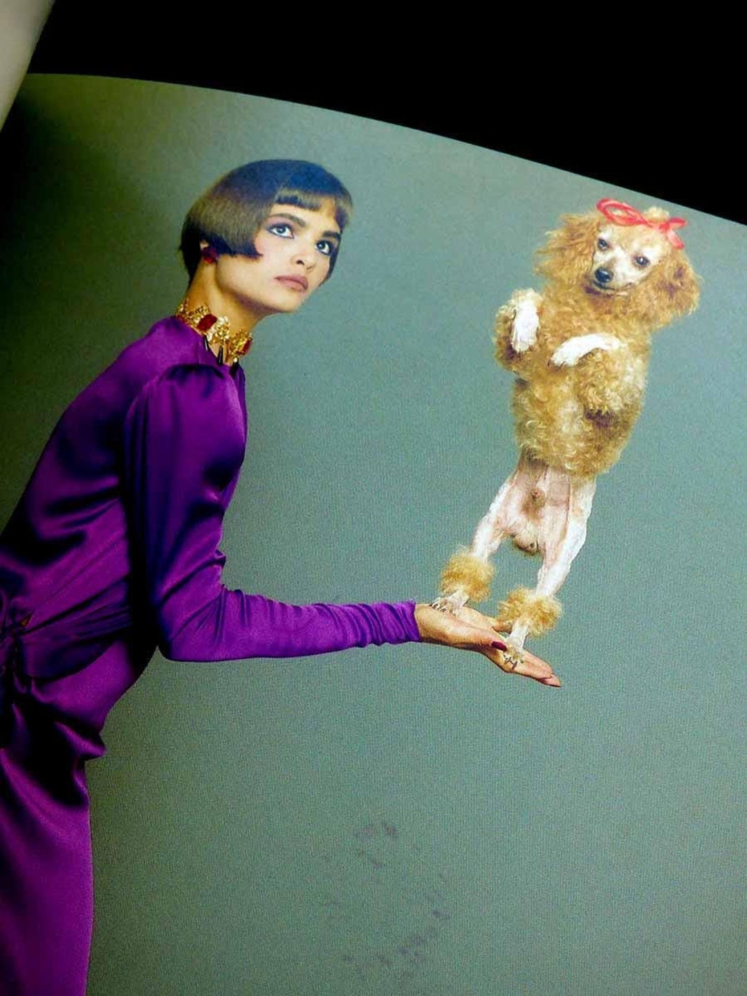 Unseen Vogue: the Secret History of Fashion Photography by Robin Muir ...