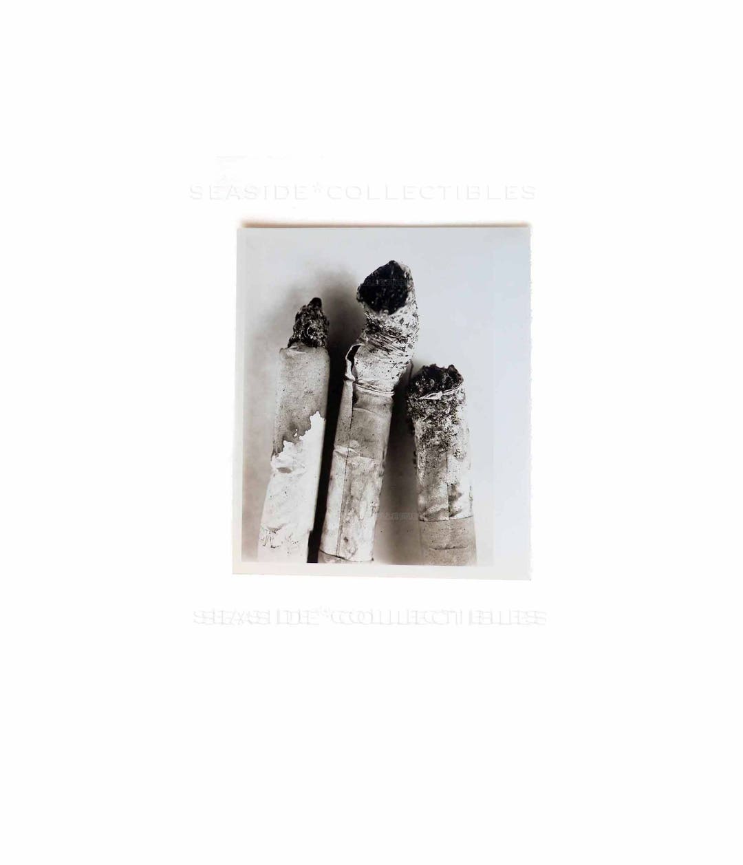 3 Cigarette Butts Irving Penn Minimalist Still Life 1st Edition 1980s ...