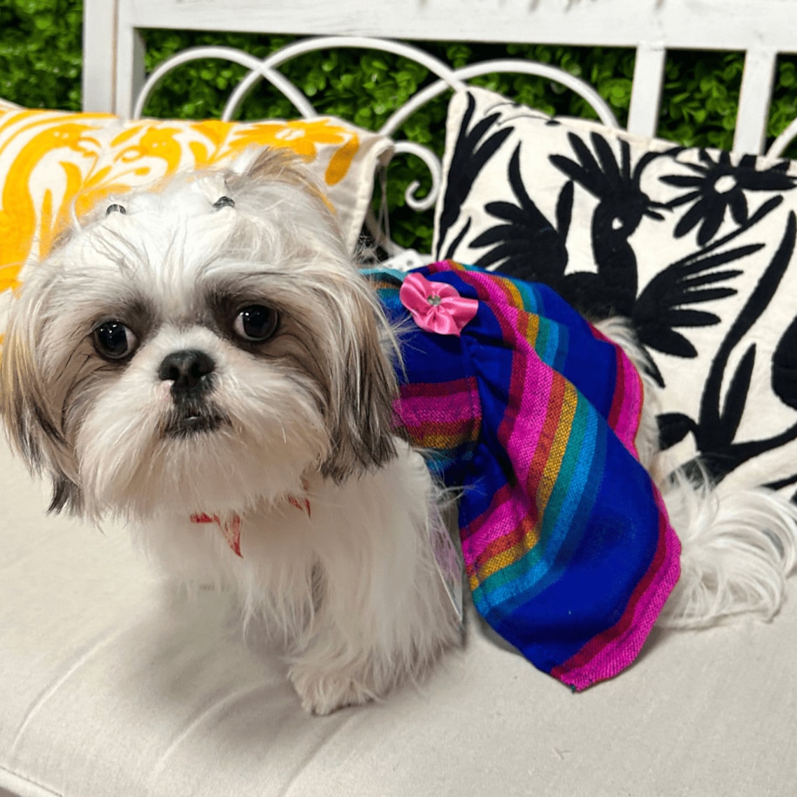 Mexican Style Dog Dress Cambaya Halter - Etsy