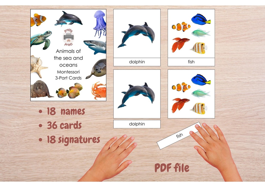 Montessori 3-part Cards Animals of the Sea and Ocean - Etsy
