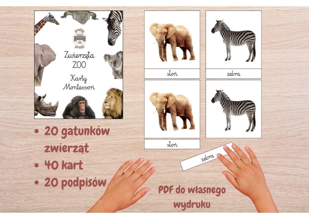 Montessori Cards Zoo Animals - Etsy