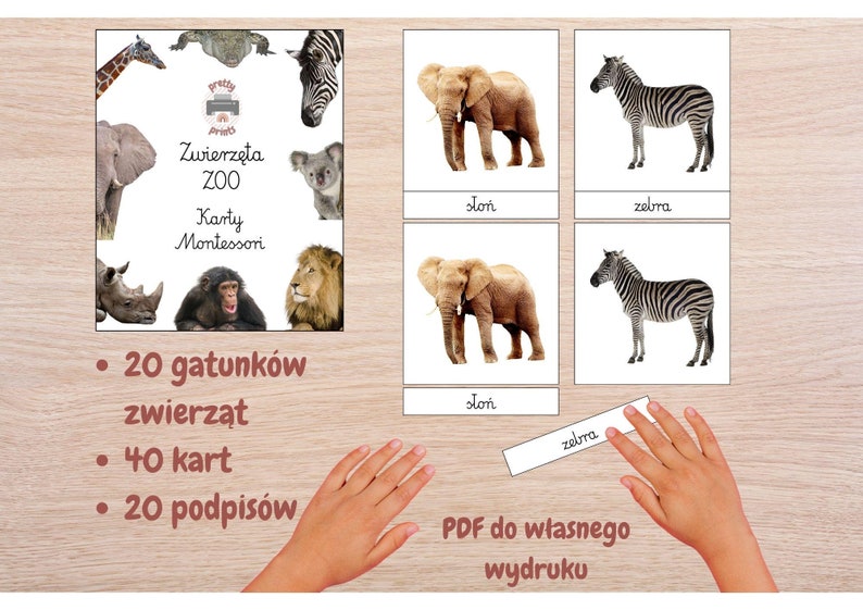 Montessori Cards Zoo Animals - Etsy