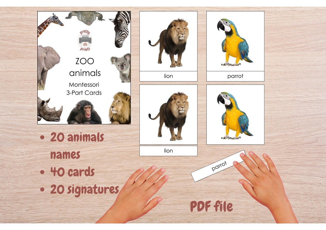Montessori 3-part Cards ZOO Animals - Etsy