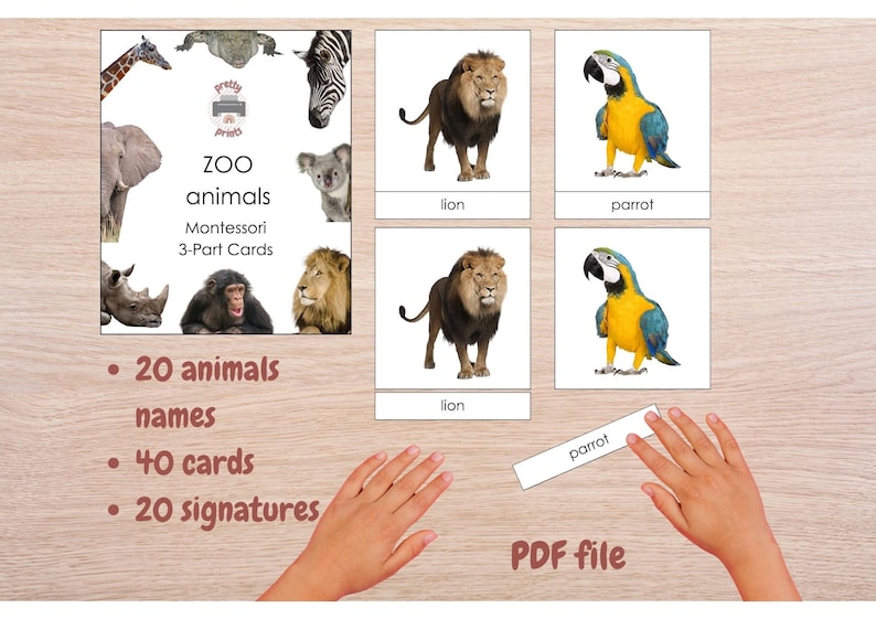Montessori 3-part Cards ZOO Animals - Etsy