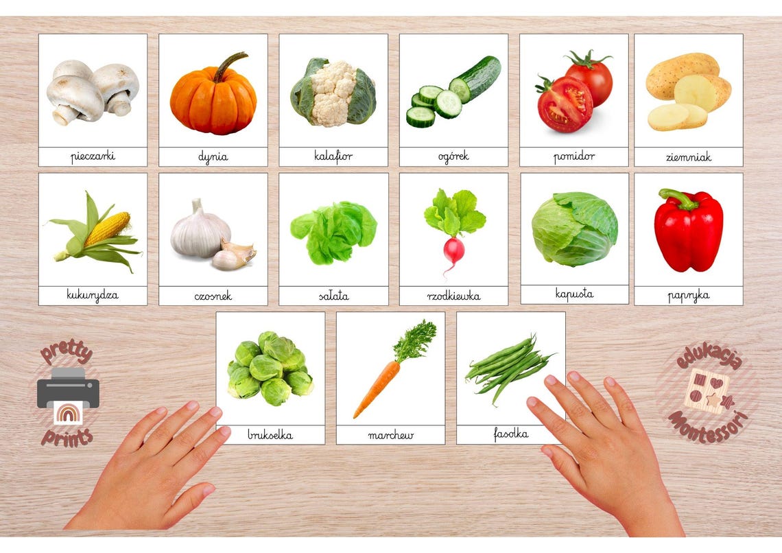 Montessori Vegetable Cards - Etsy