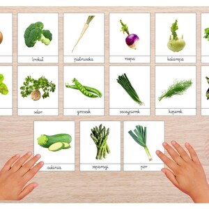 Montessori Vegetable Cards - Etsy
