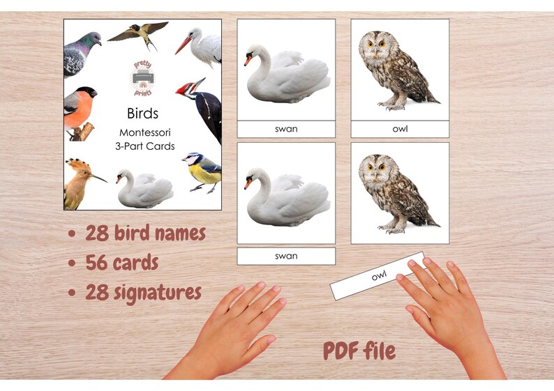Montessori 3-part Cards Birds - Etsy