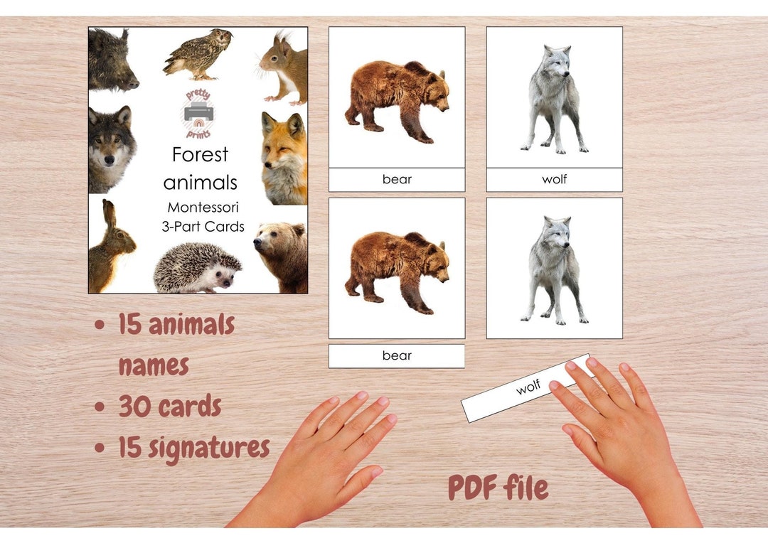 Montessori 3-part Cards Forest Animals - Etsy
