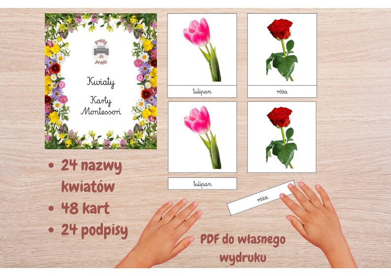 Montessori Flowers Cards - Etsy