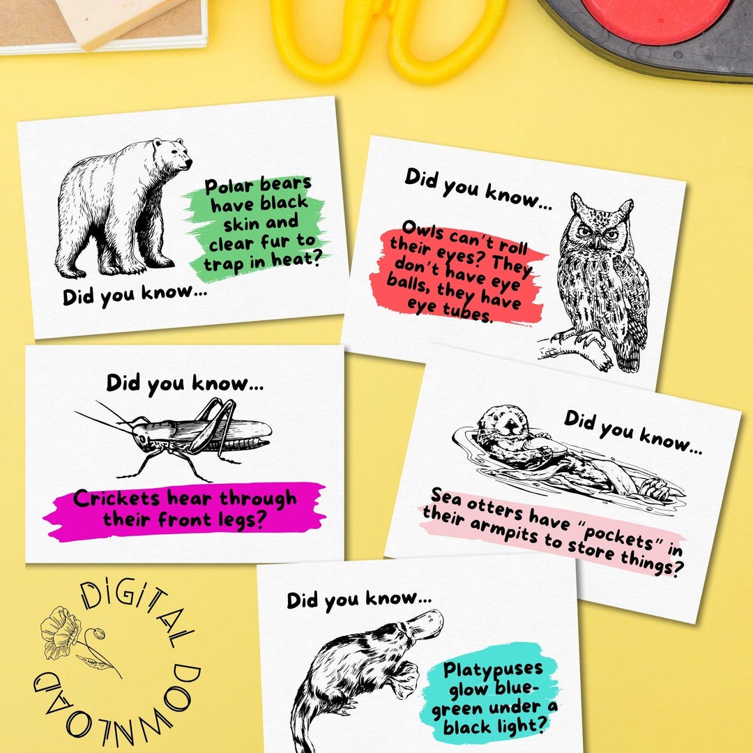 24 Animal Facts Notes | Lunch Box Notes for Kids | Printable - Etsy