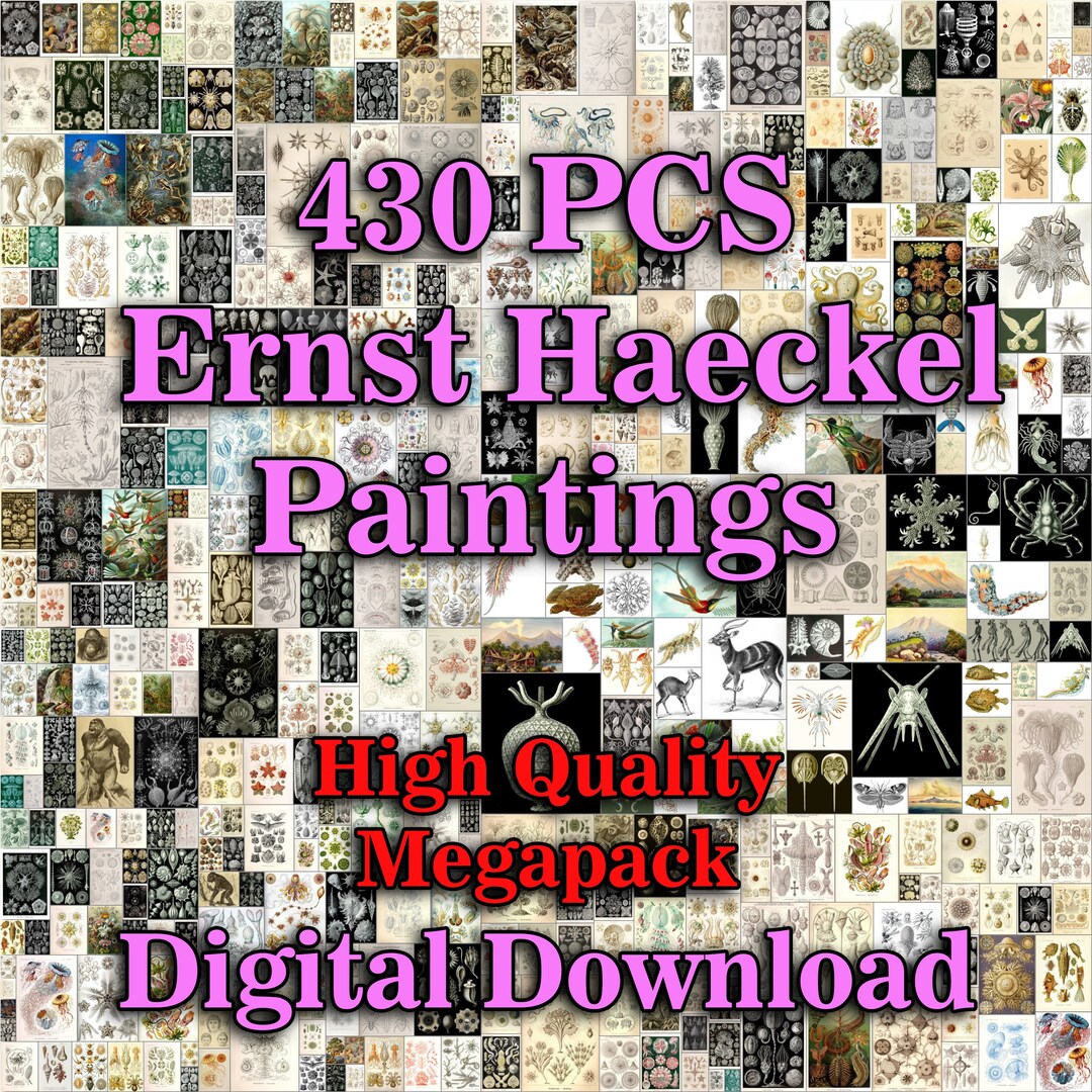 Ernst Haeckel Poster, Zoology Print, Abalone Shell Print, Sea Anemone ...