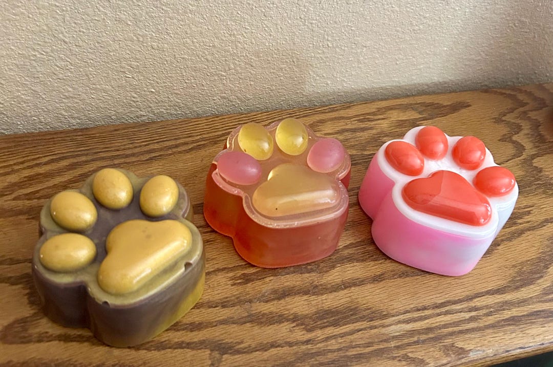 Custom Resin Paw Print Jar - Etsy
