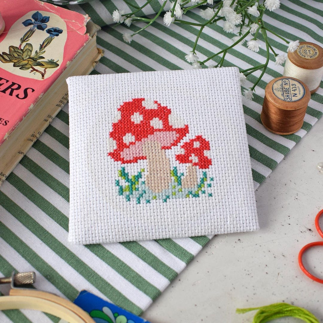 Toadstool Mini Cross Stitch DIY Kit | Beginner Friendly - Etsy