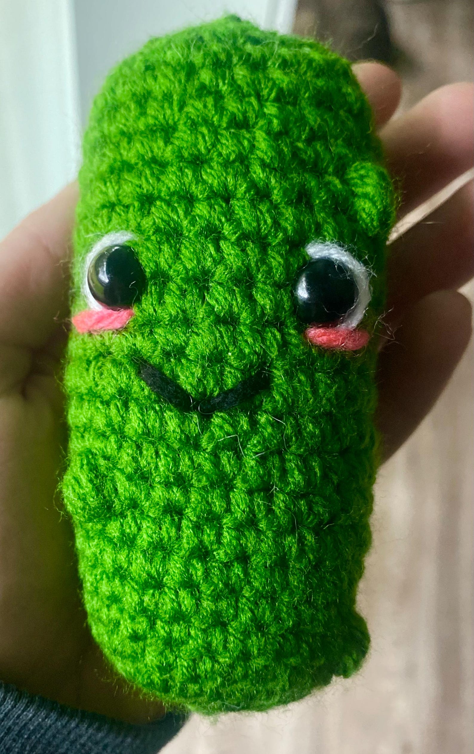 Beginner Friendly Crochet Pickle Pattern Digital PDF File - Etsy