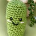 Beginner Friendly Crochet Pickle Pattern Digital PDF File - Etsy