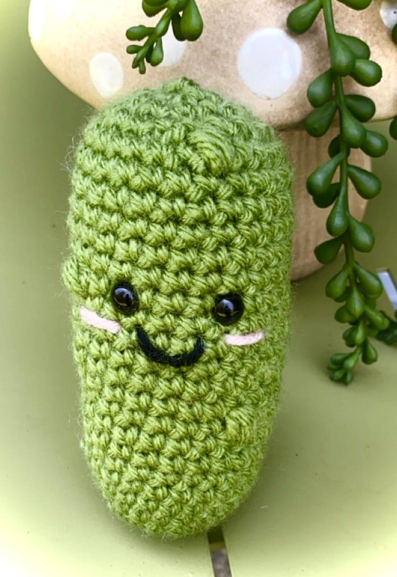 Beginner Friendly Crochet Pickle Pattern Digital PDF File - Etsy