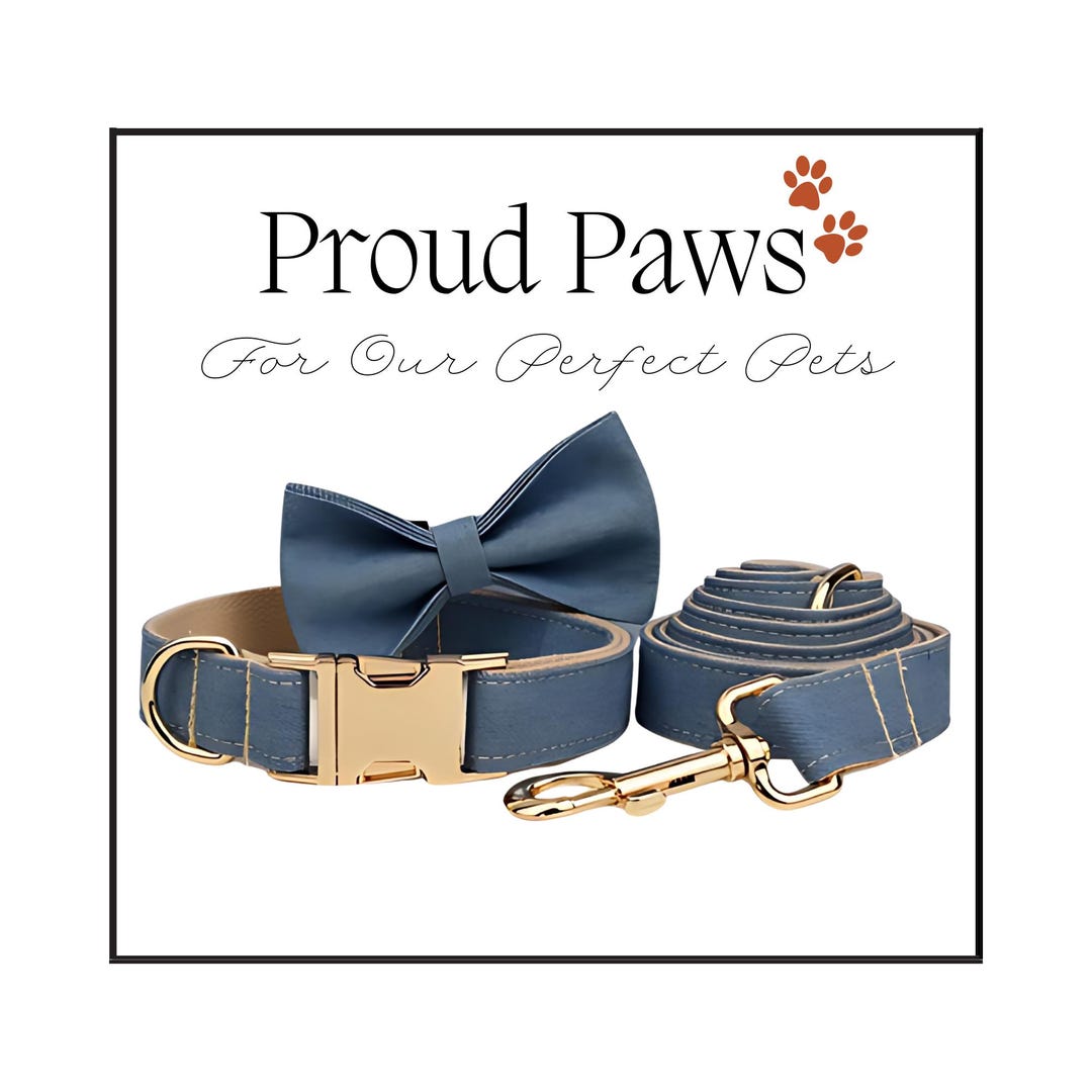 Personalised Denim Dog Lead/leash and Bow Set - Etsy