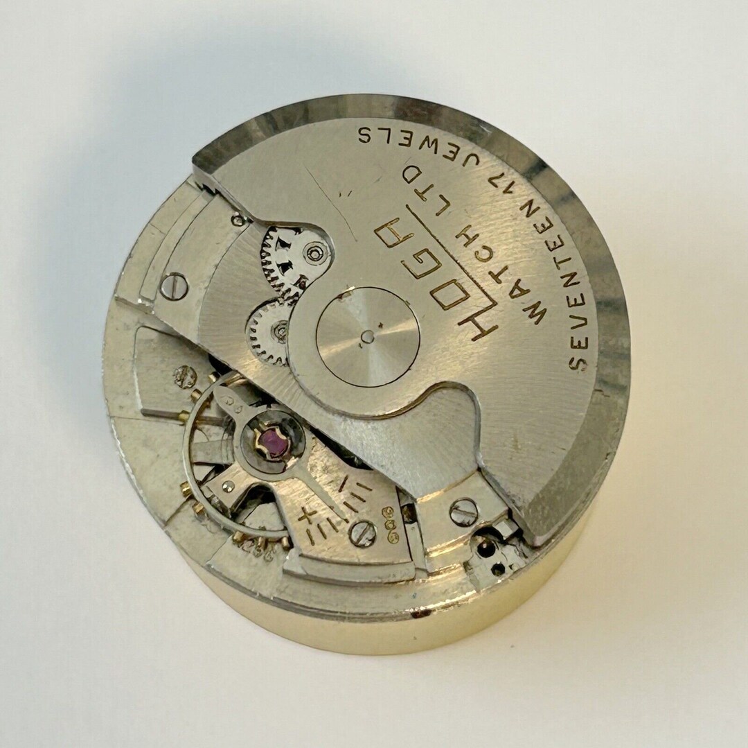 HOGA 17 Jewels Automatic Watch Parts Movement Balance Fork Spring ...