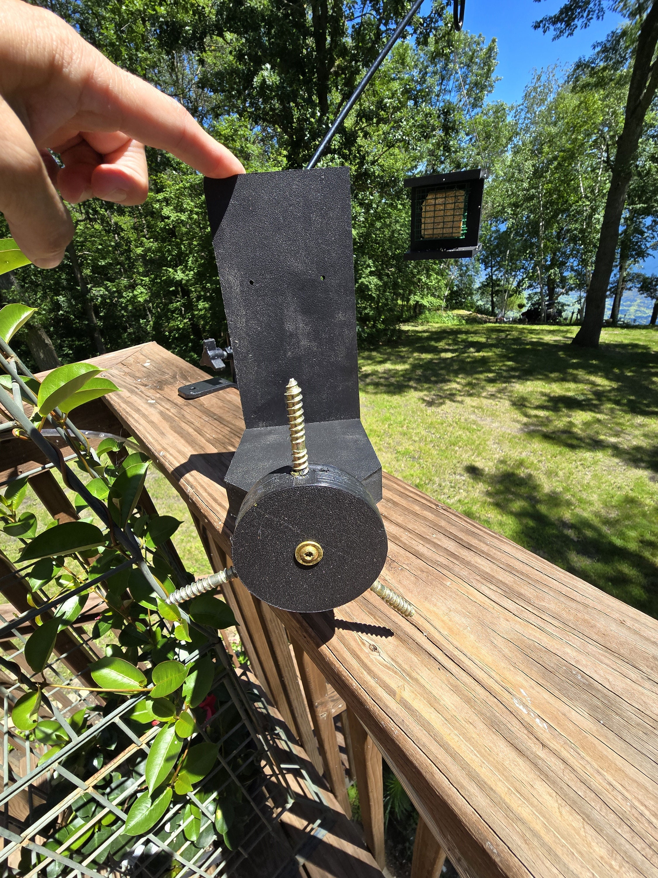 Squirrel Feeder - Three Cob Spinner - Etsy