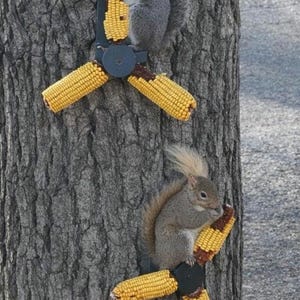 Unique Corn Cob Holder - Etsy