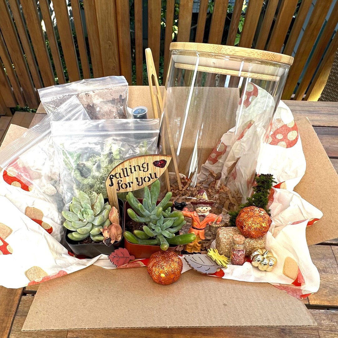 Fall Time DIY Succulent Terrarium Kit: Educational Craft, Corporate ...