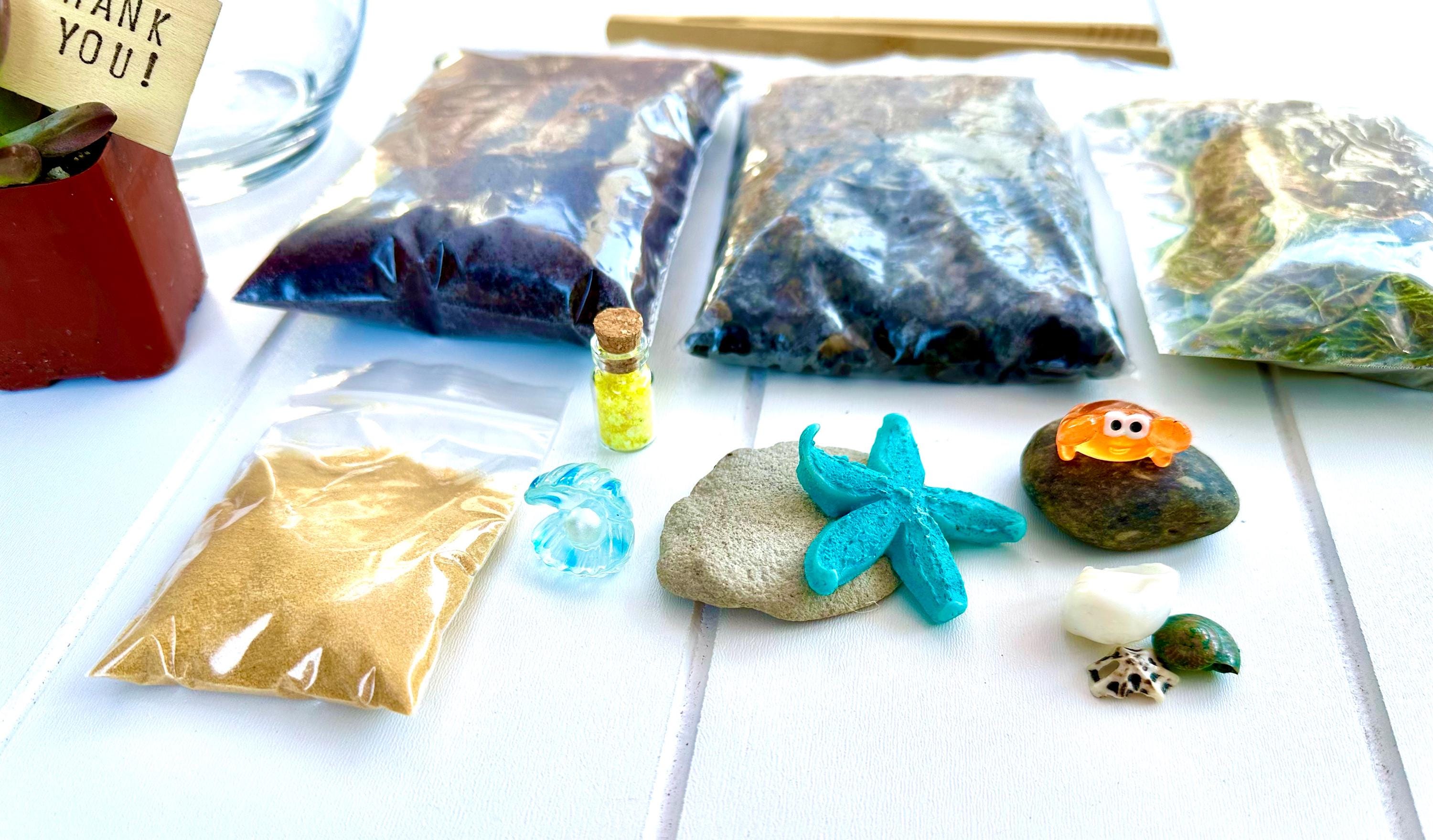 DIY Under the Sea Terrarium Kit: Succulent Planted Craft - Etsy
