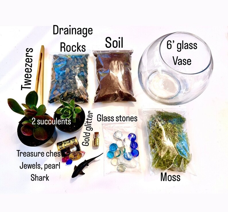 Pirate Treasure Chest DIY Terrarium Kit, DIY Succulent Kit, Educational ...