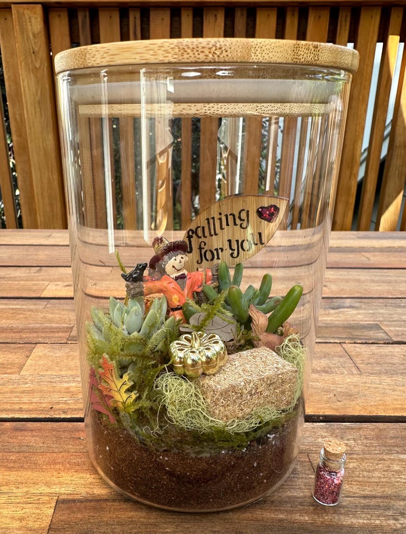 Fall Time DIY Succulent Terrarium Kit: Educational Craft, Corporate ...