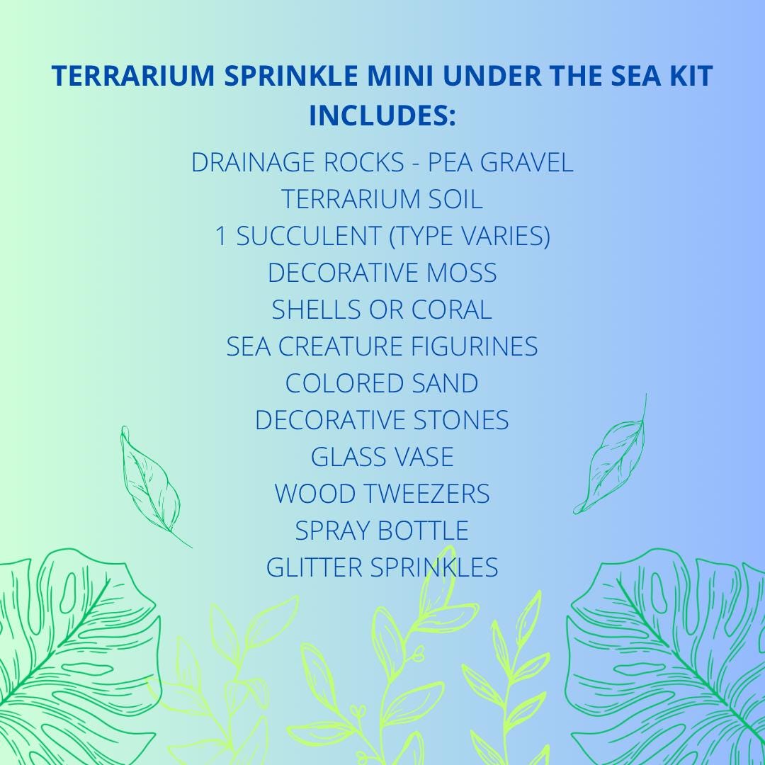 DIY Under the Sea Terrarium Kit: Succulent Planted Craft - Etsy