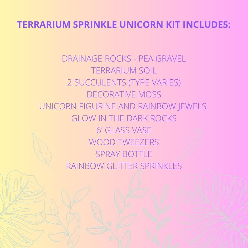 Unicorn & Rainbows Terrarium Kit: DIY Succulent Garden, Craft for Kids ...