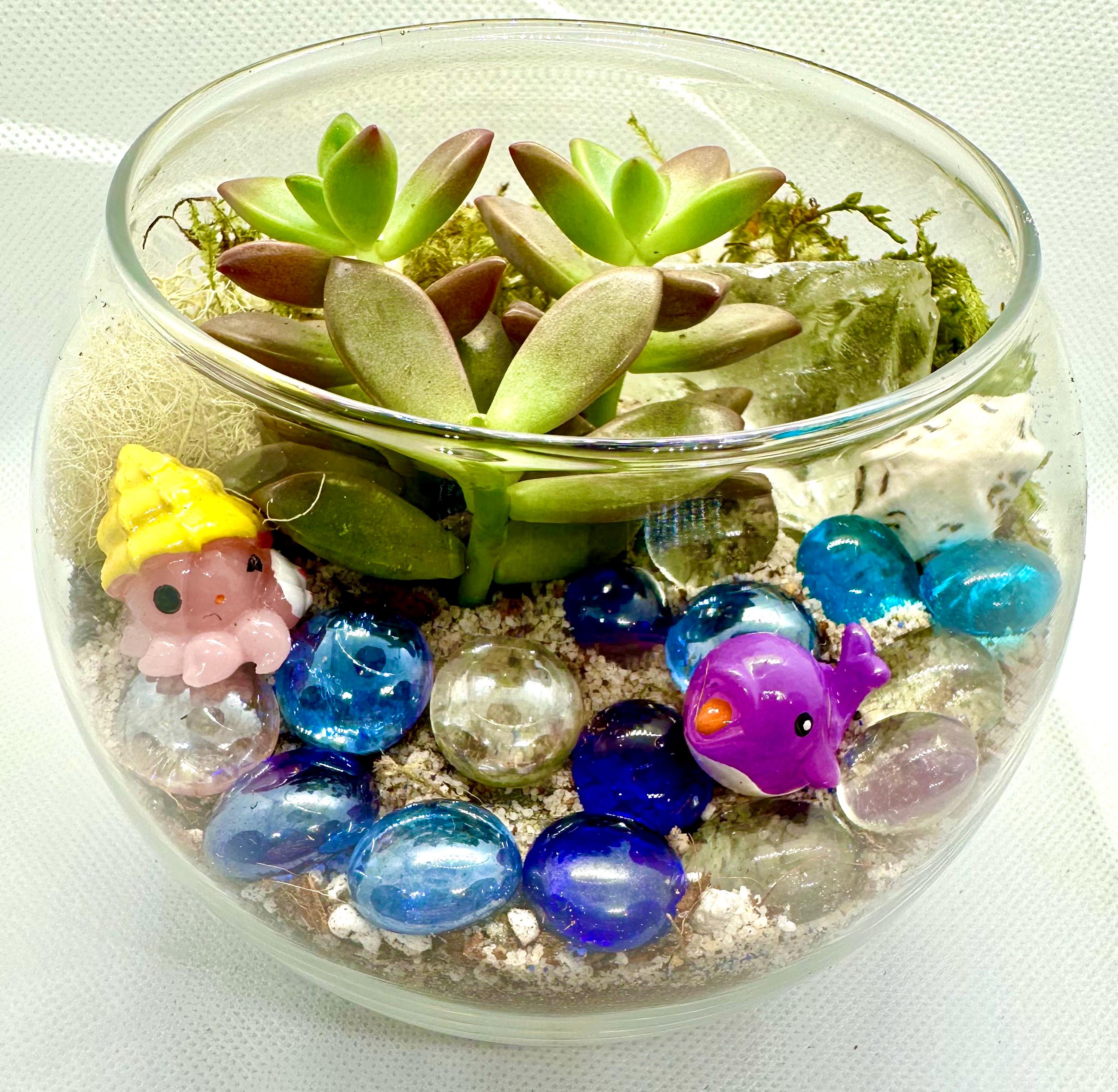 Under the Sea Terrarium Kit: DIY Succulent Planter, Craft Gift - Etsy