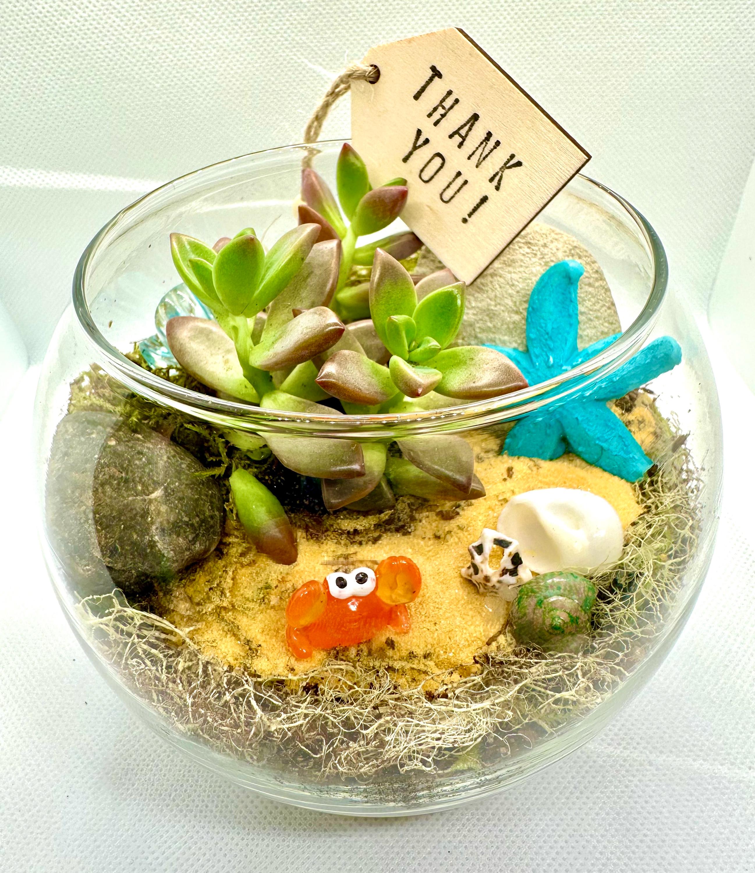 DIY Under the Sea Terrarium Kit: Succulent Planted Craft - Etsy