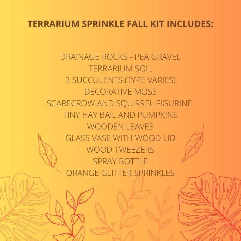 Fall Time DIY Succulent Terrarium Kit: Educational Craft, Corporate ...