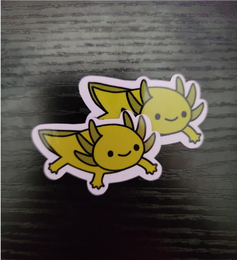 Axolotl Stickers - Etsy