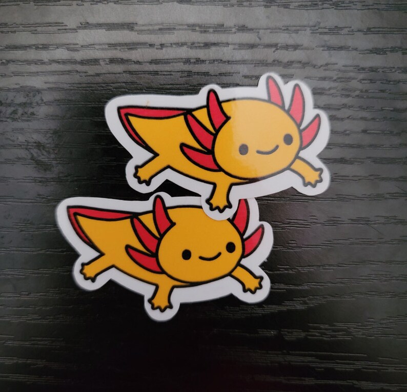 Axolotl Stickers - Etsy