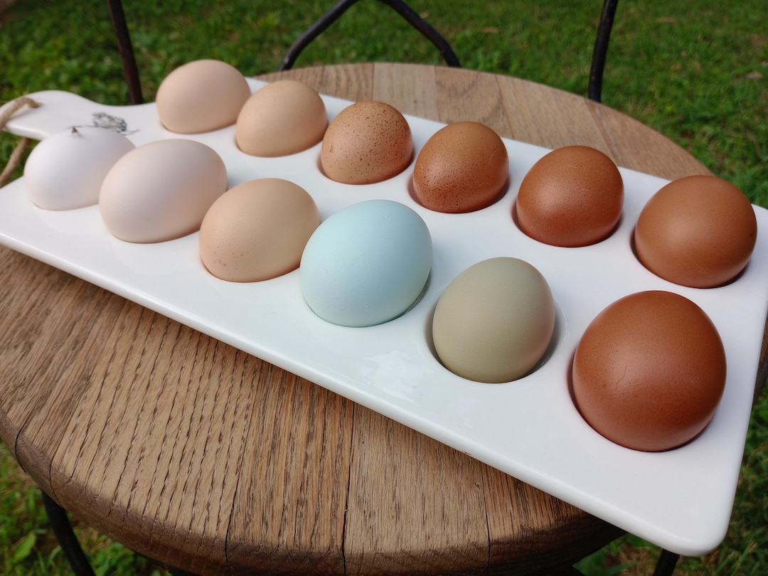 12 Farm Fresh Rainbow Chicken Eggs, 21 Day Project Eggs, Easter Eggers ...
