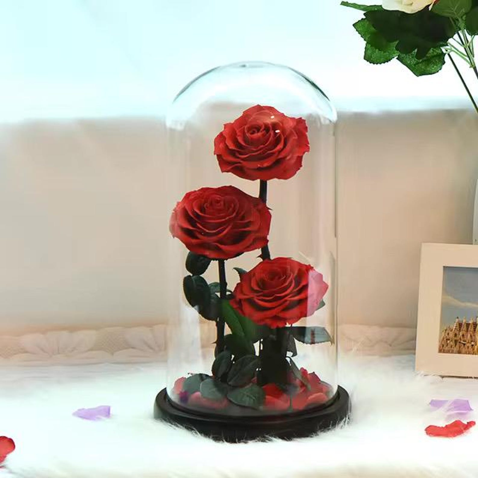Eternal Rose With Glass Dome | Preserved Beauty and the Beast Real ...