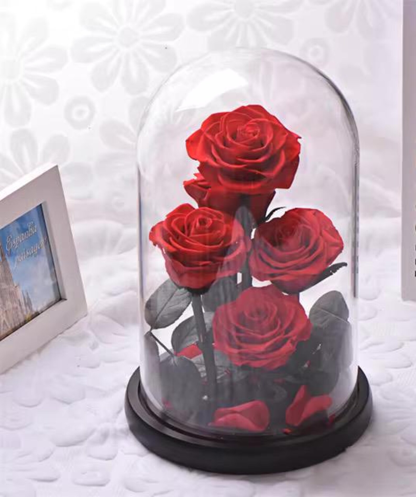 Eternal Rose With Glass Dome | Preserved Beauty and the Beast Real ...