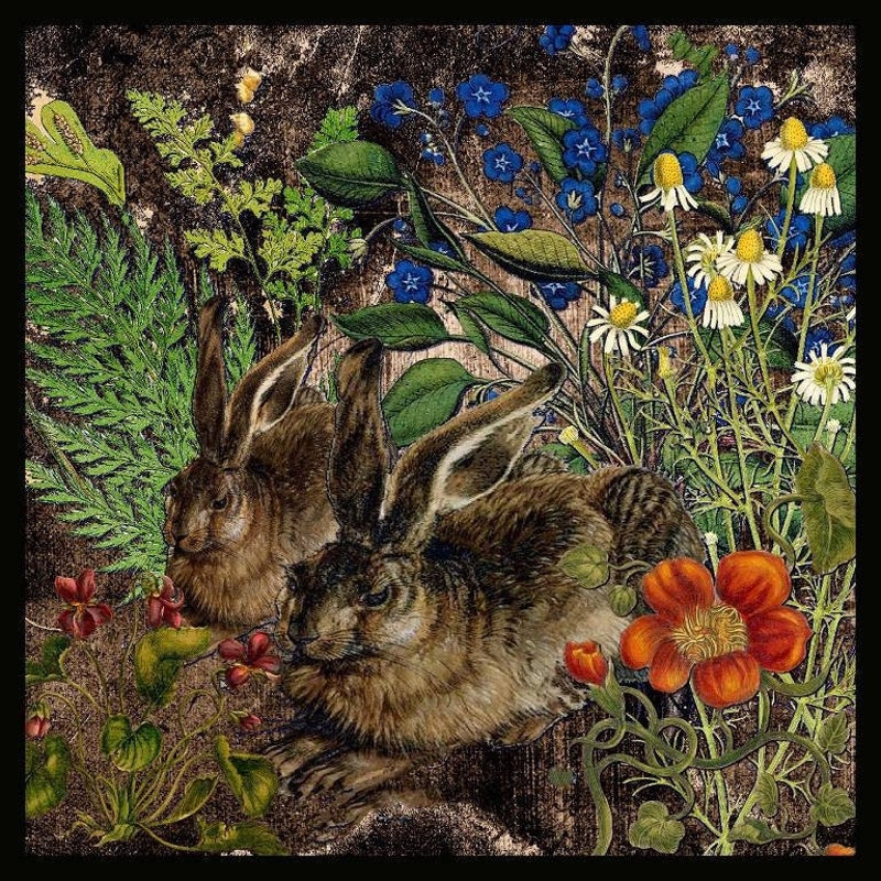 Medieval Rabbits - Etsy