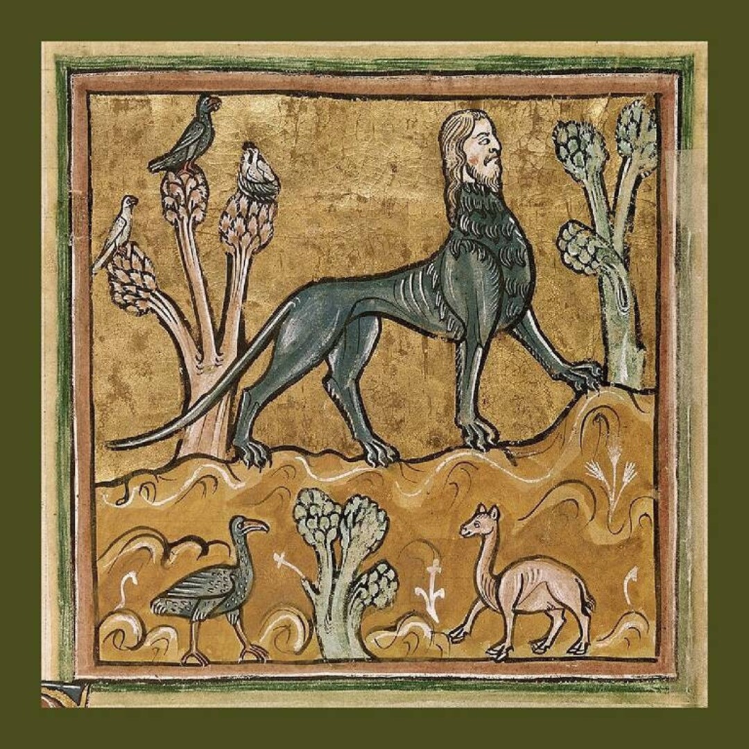 133. Mystical Beasts Medieval Manticore Illustrations on Organic Cotton ...