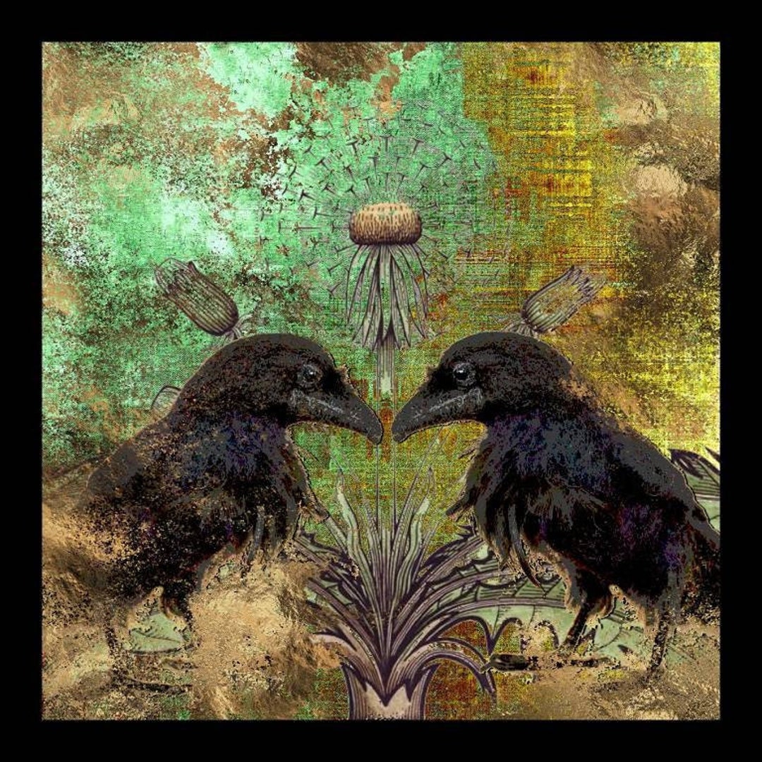 122b. the Conversation Crows and Dandelions 8 X 8 Inch Organic COTTON ...
