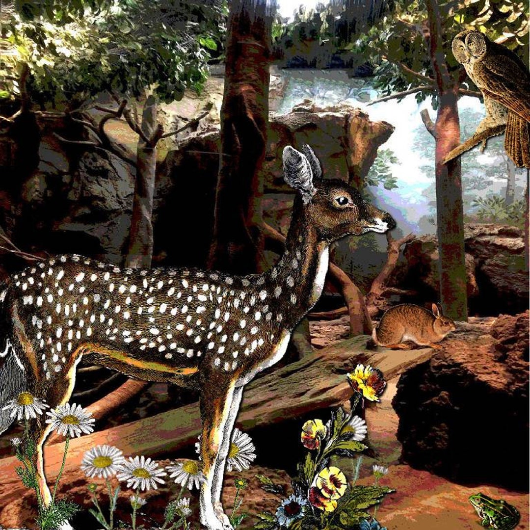 162. Forest Fawn Owl Rabbit Frog Organic Cotton Sateen Yellow Teal Blue ...