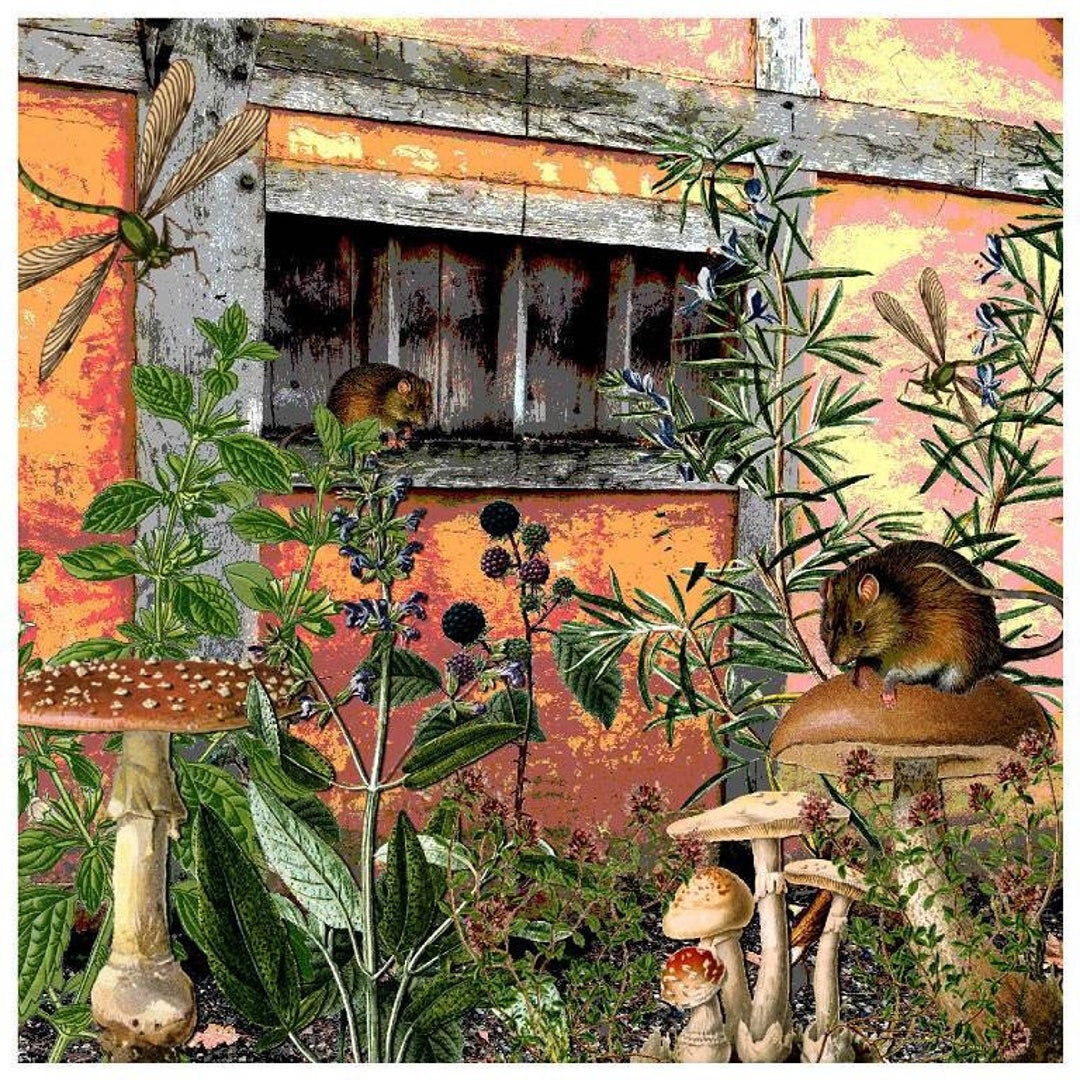 109. Temperance Flowerdew's Jamestown Herb Garden Mice Dragonfly Fungi ...