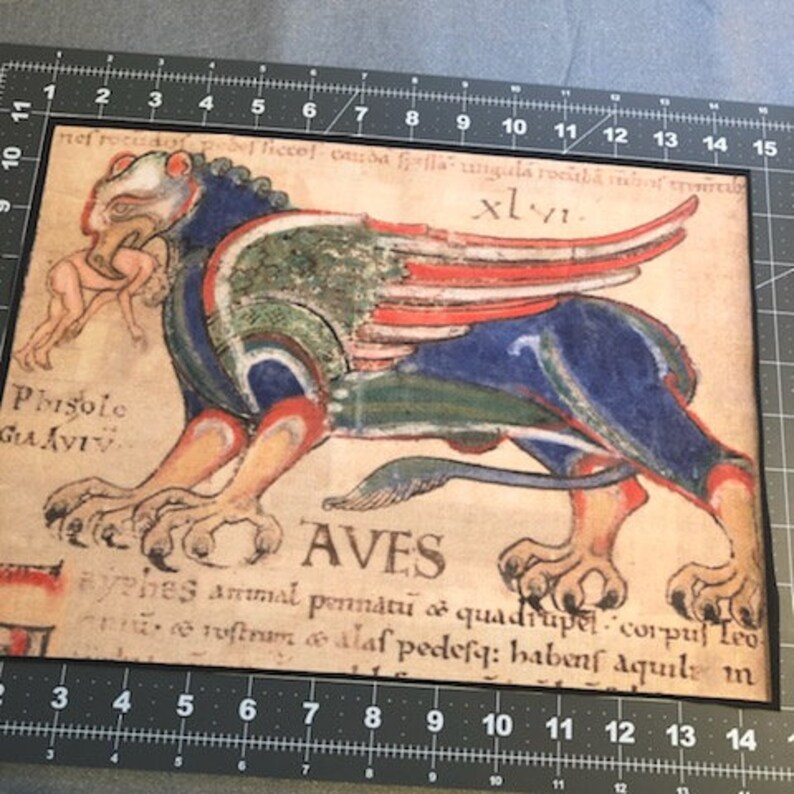 246. Mystical Beasts Gryphon Medieval Illuminated Illustration - Etsy