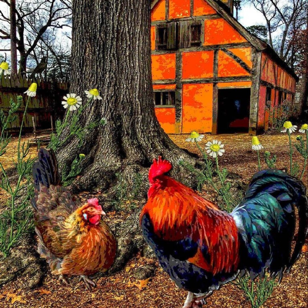 113. Temperance Flowerdew's Chickens in Jamestown Yellow Rust Blue ...