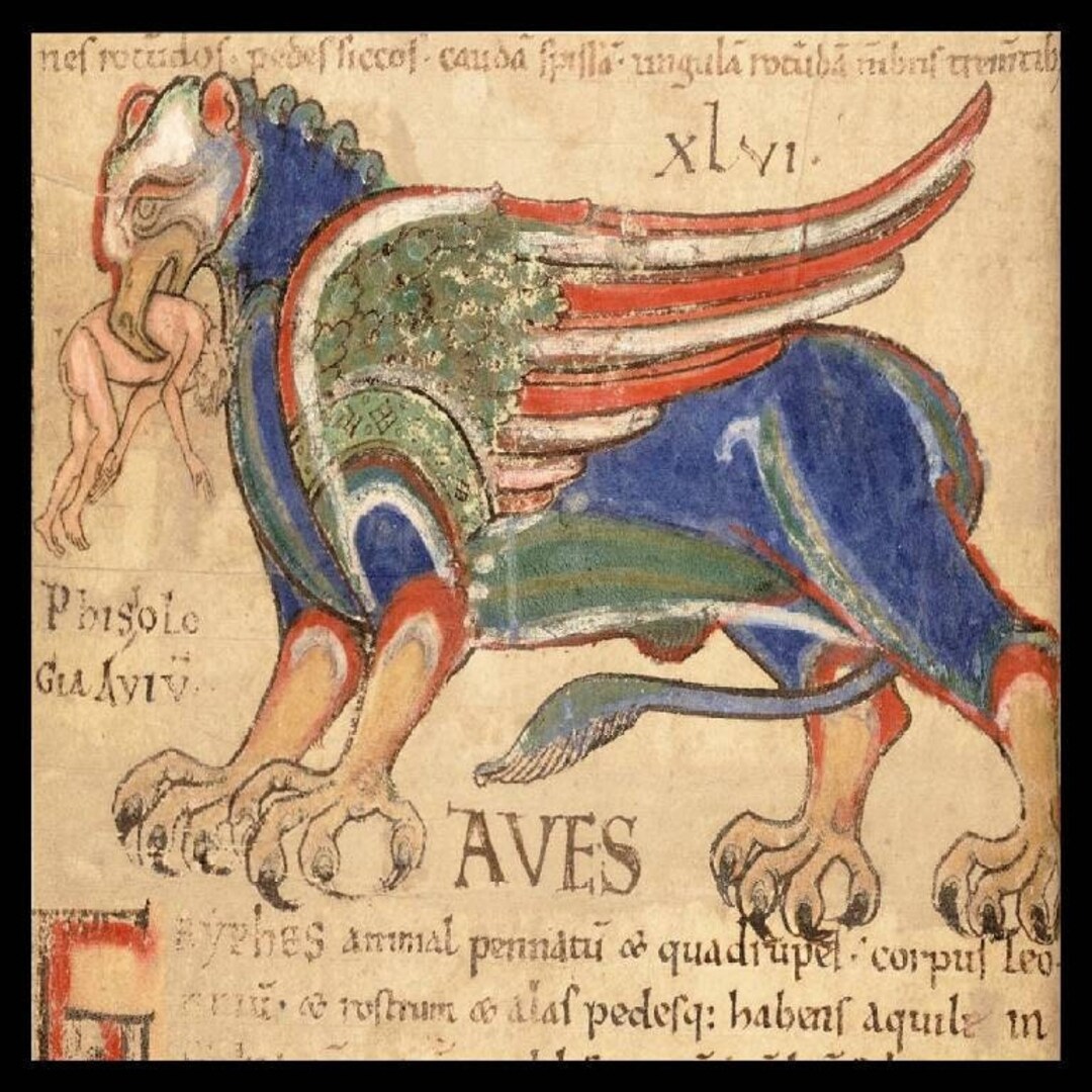 246. Mystical Beasts Gryphon Medieval Illuminated Illustration COTTON ...